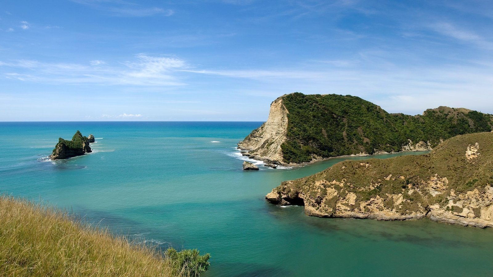 Petition · Sustainability for kaimoana and iwi-hapū-land-owner cultural ...