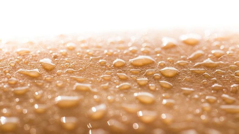 Petition · Change the past tense of the word "Sweat" to "Swote ...