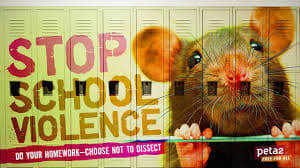 Petition · No to animal cruelty: Protecting domestic animals ...