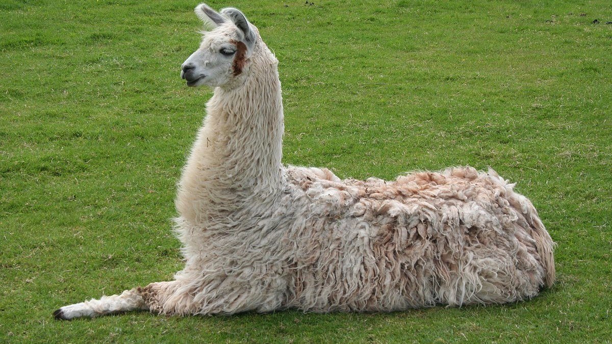 Topic Lama Change Topic Lama Change