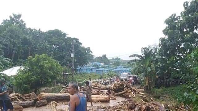 Petition · stop illegal logging in mountain of canlaon - Philippines · Change.org