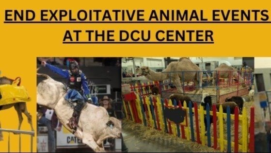 Petition · End Exploitative Animal Events at the Worcester DCU - United ...