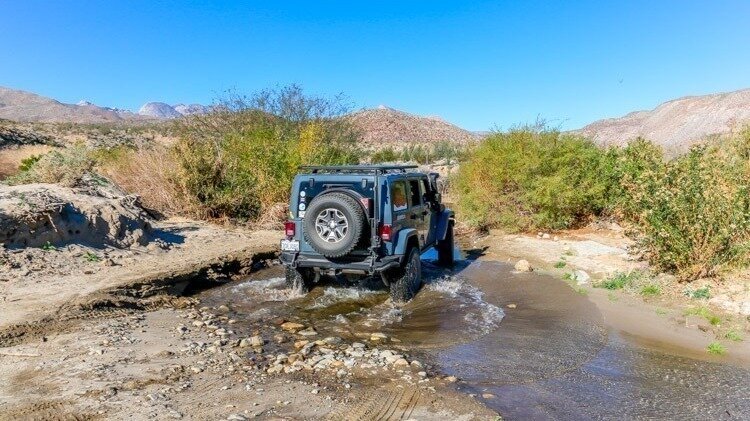 Petition · Reopen four wheel drive access to Coyote Canyon - Borrego ...