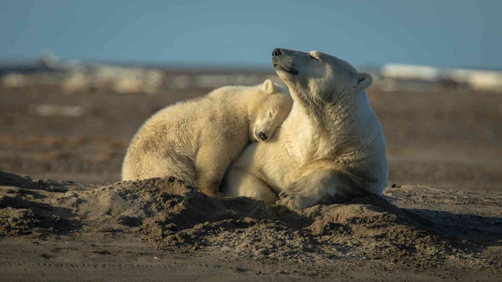 Petition · Halt the Willow Project and Protect Our Environment and ...