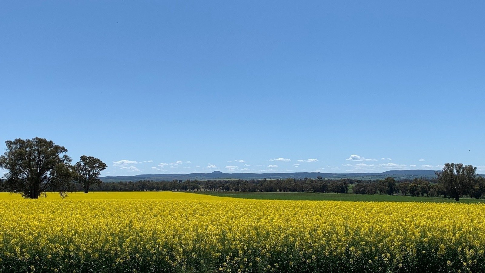 Petition · Calling for a wellbeing index to enable resilient & thriving ...