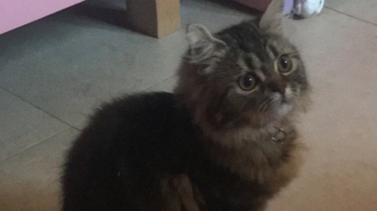 Petition · Find doja - Jordan · Change.org