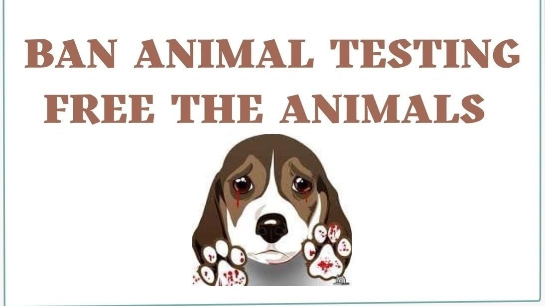 Petition · Save the animals; Stop Animal Testing - Philippines · Change.org