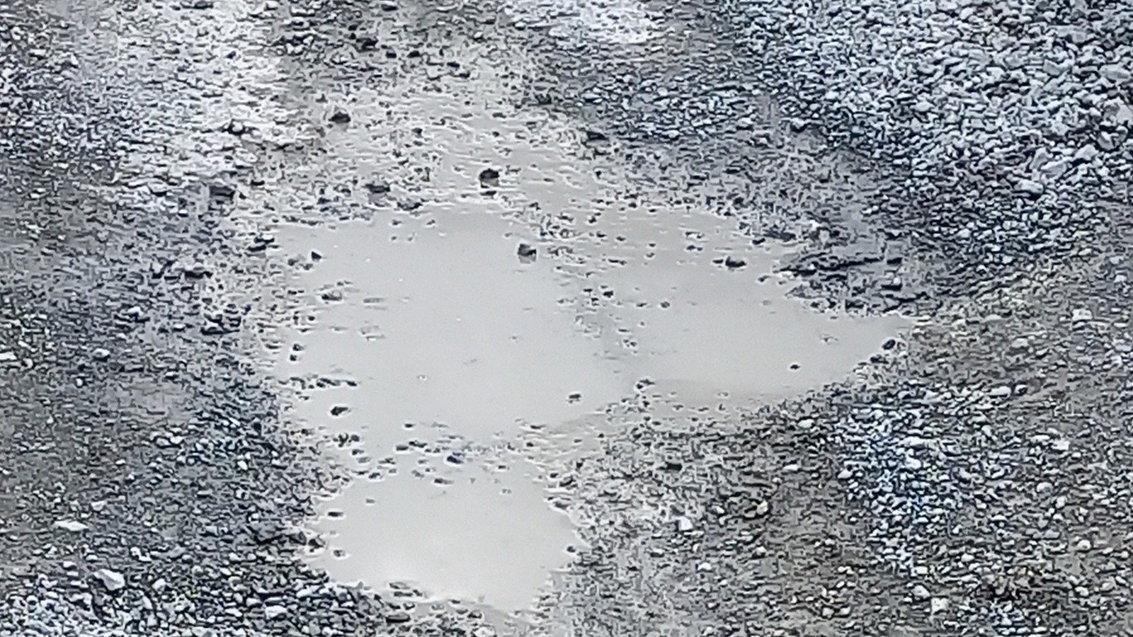 Petition · Fix Whangarei's unsealed roads · Change.org Petition · Fix Whangarei's unsealed roads · Change.org
