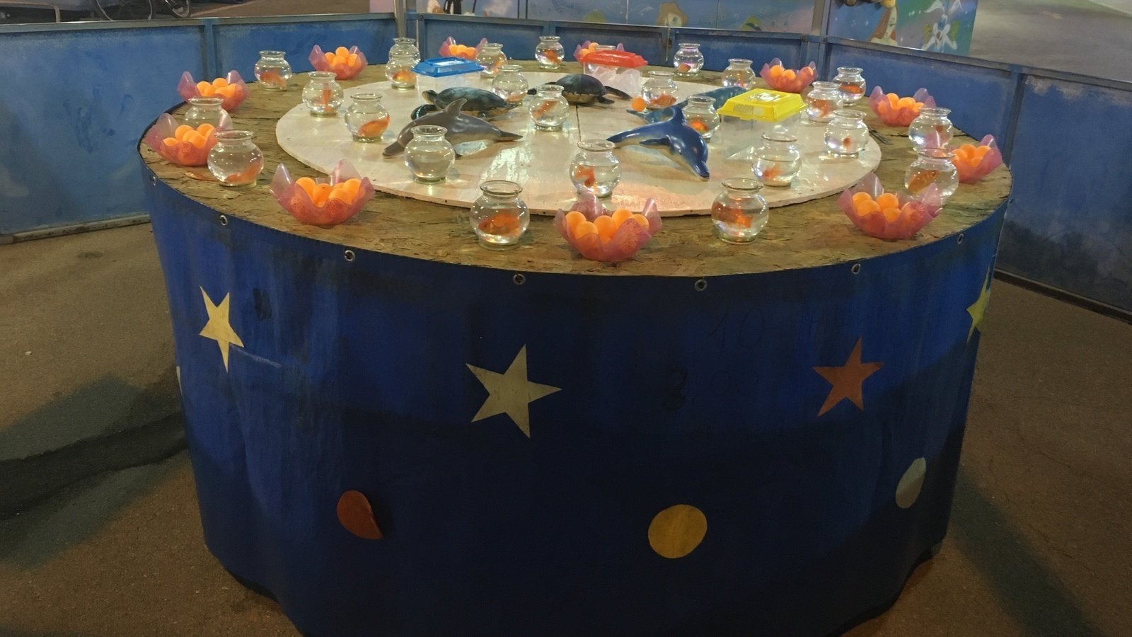 Petition · Stop goldfish as prizes at Porto Cesereo, Italy funfair ...