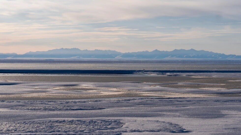 Petition · Trump: Don't open pristine Alaska wildlife refuge to oil and ...