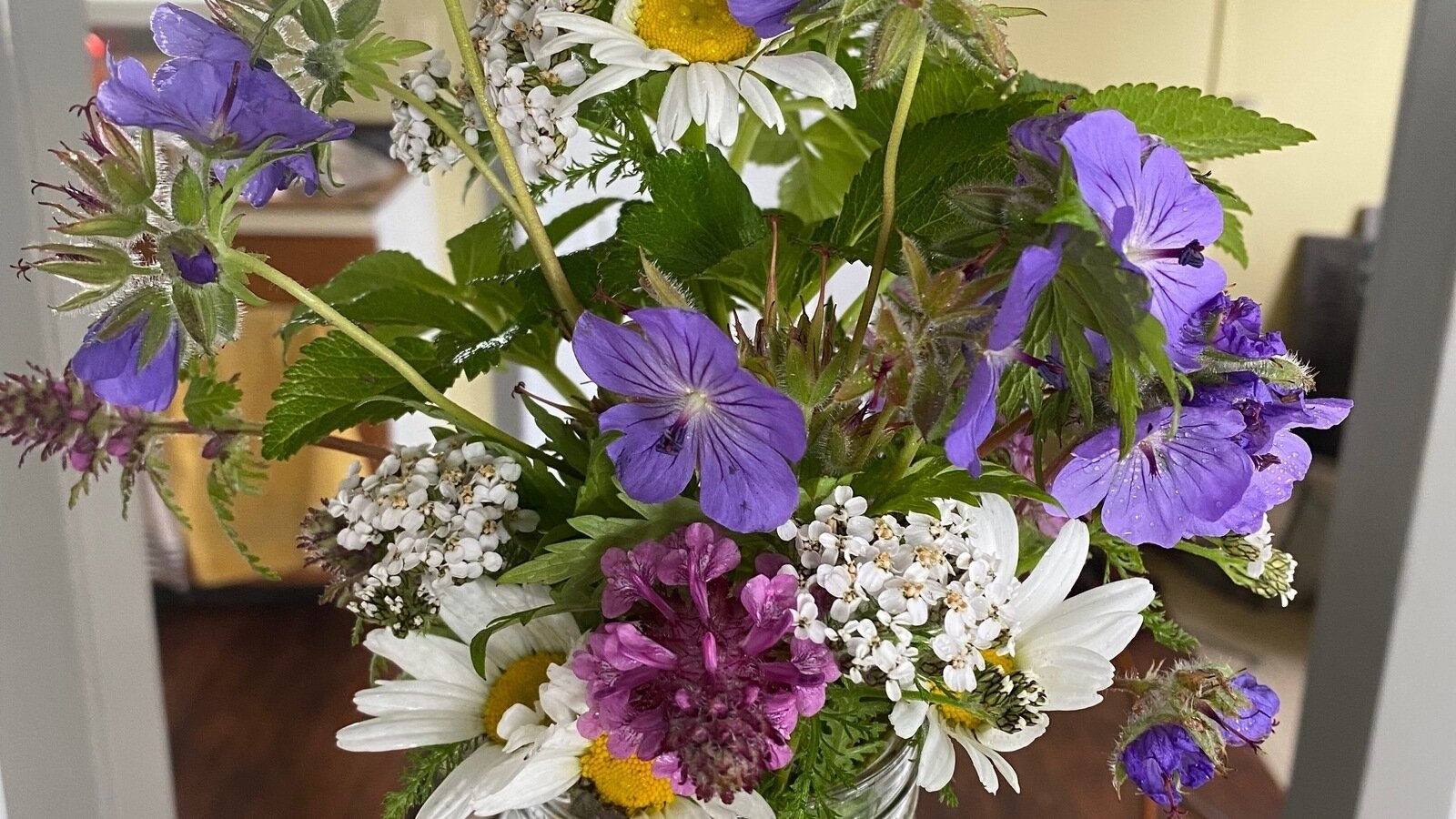 Petition · Remove Hattie Albecker from office as a Tribal Council ...