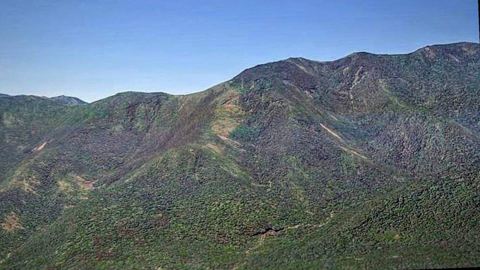 Petition · Save the Victoria-Anepahan mountain ranges in Palawan by ...