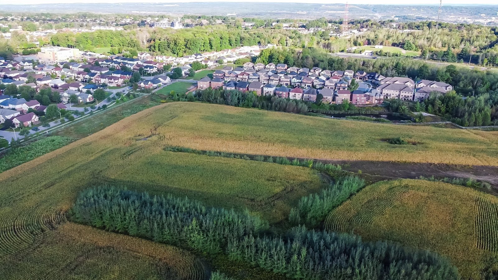 Petition · Opposing the development of 15 Harvie Road in Barrie ...