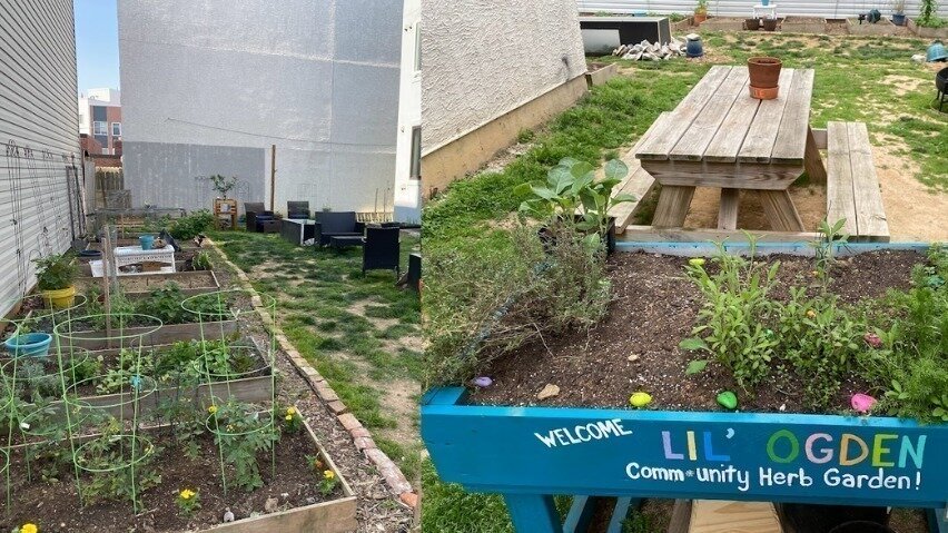 Petition · Preservation of Our Community Garden Amid Workforce Housing ...