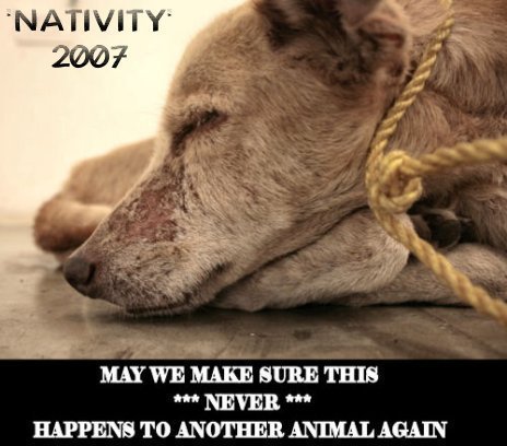 Petition · Protest "Starving Dog " Artisit Guillermo Vargas from ...