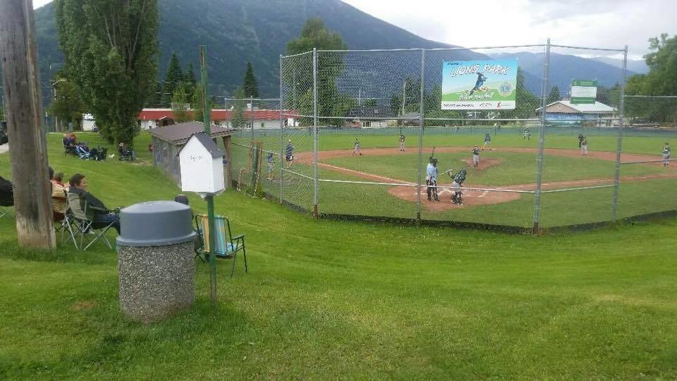 Petition · Keep baseball at Lion's Park (Nelson) without restriction on ...