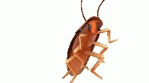 Petition · Make Autotuned dancing cockroach the official national ...