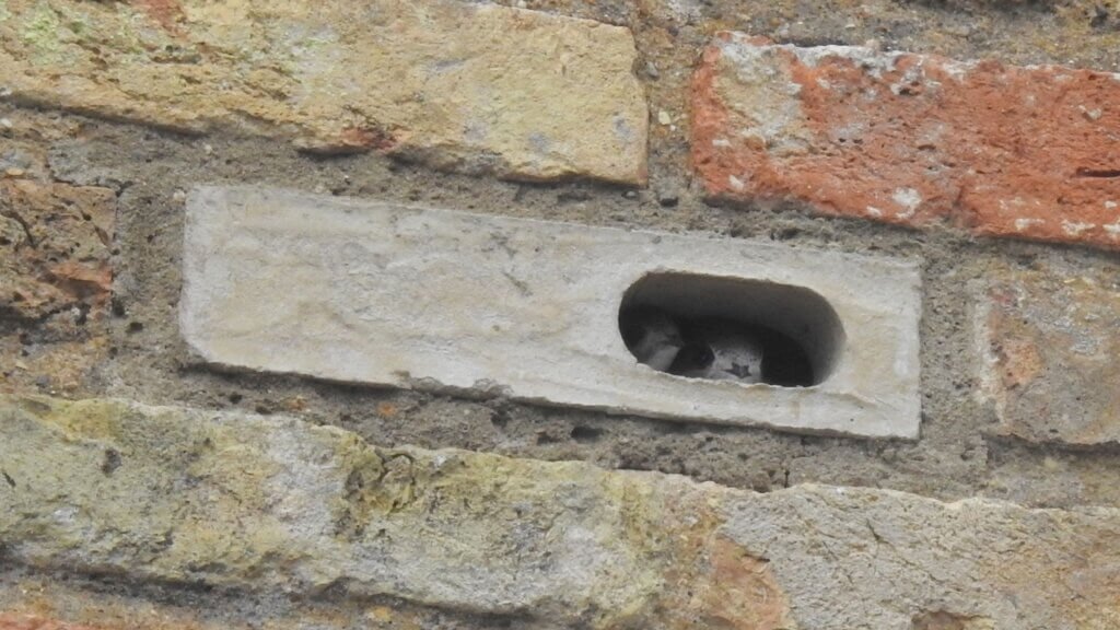 Petition · Make 'Swift Bricks' part of any new and refurbished build in ...