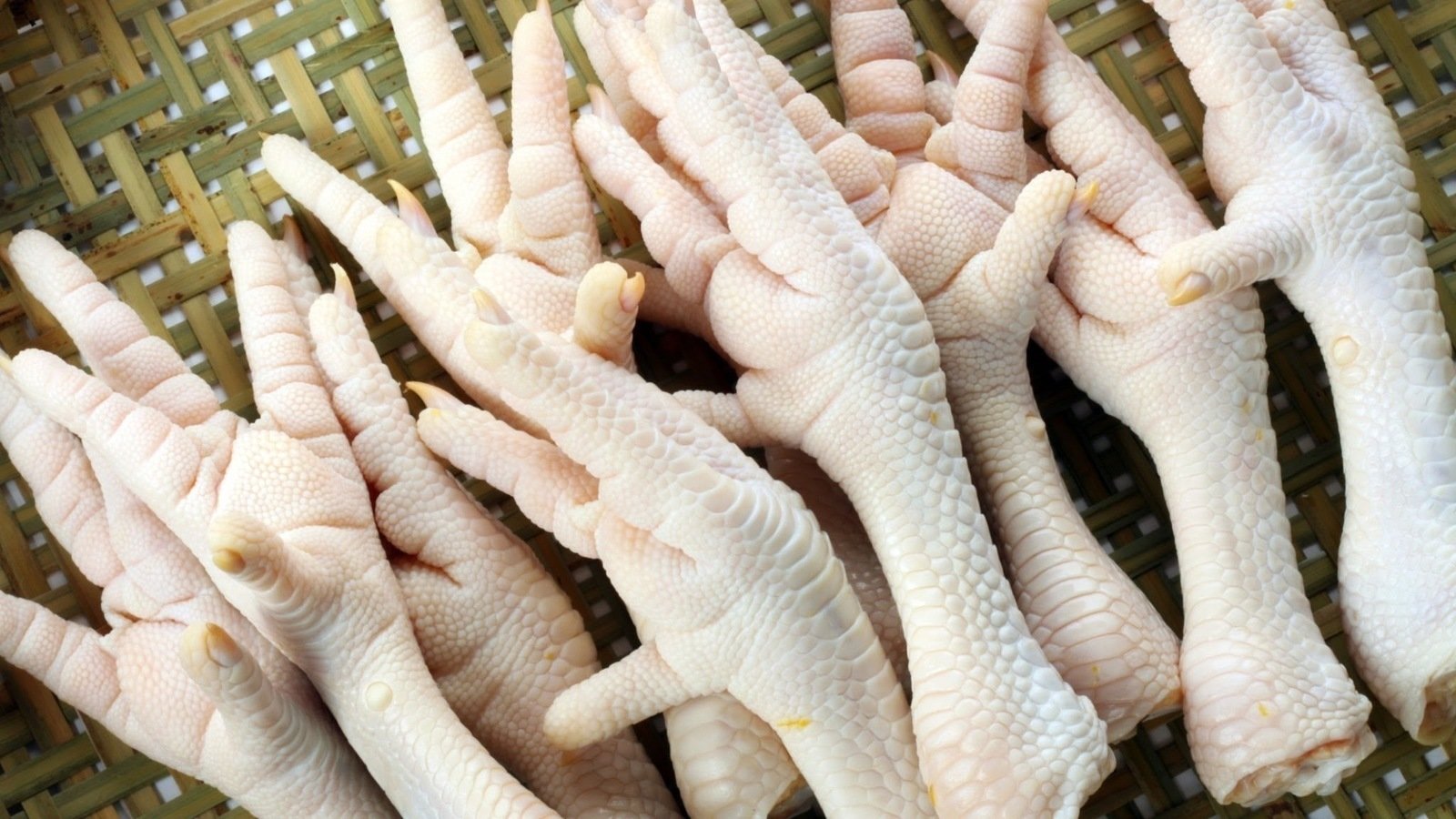Petition · stop making chicken nuggets from their feet - Australia ...