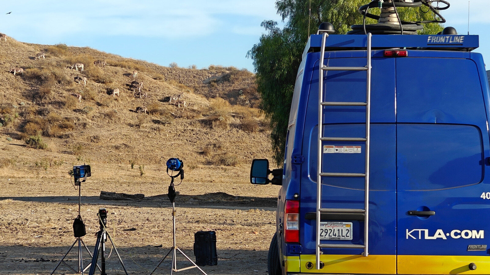 Petition update · KTLA live coverage at 4:30 p.m. today. · Change.org ...