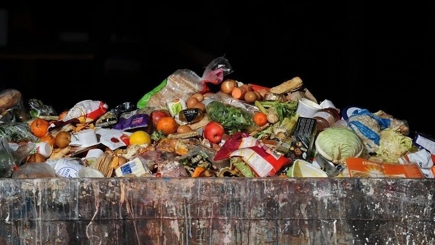 Petition · Ban supermarket food waste in the UK - United Kingdom ...