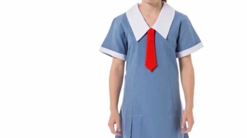 Petition · Keep the Summer Dress and Winter Tunic uniform options at ...