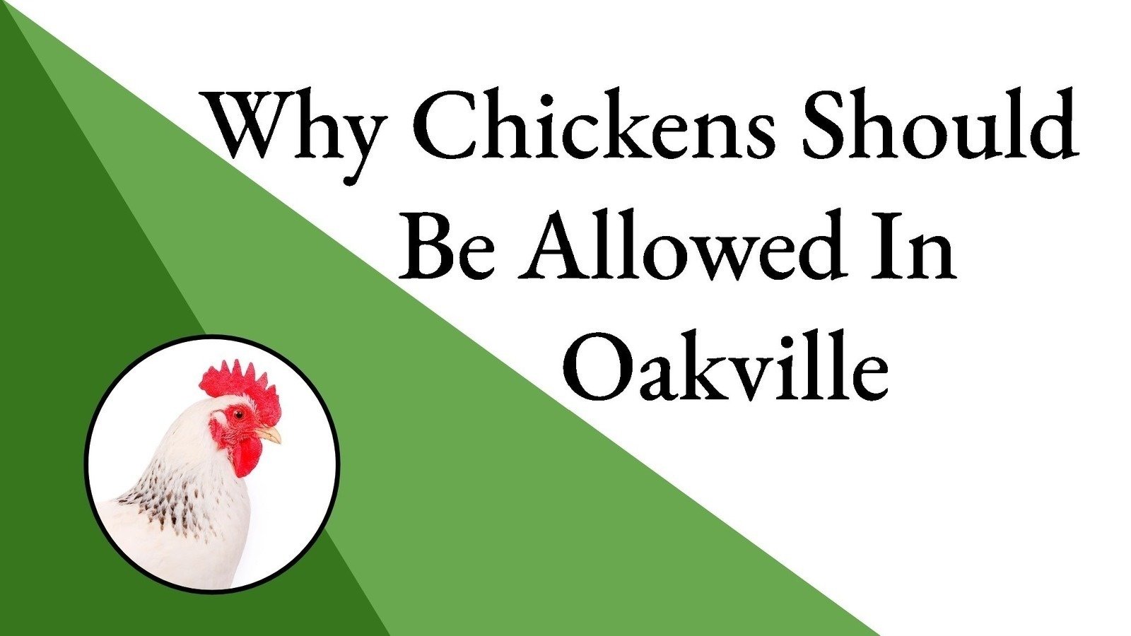 Petition · Petition To Legalize Chickens In Oakville - Canada · Change.org