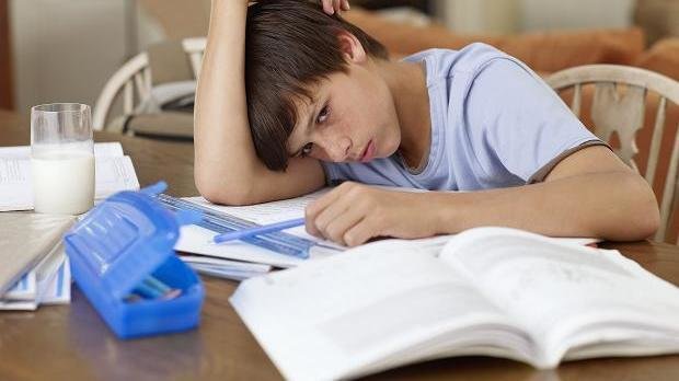 Petición · No tareas escolares en casa - México · Change.org