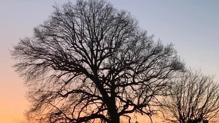 Petition update · Time is nearly up, but there is still hope · Change ...