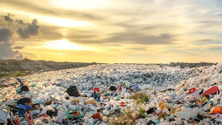Petition · A Clean and Better Environment by Proper Waste Disposal and ...
