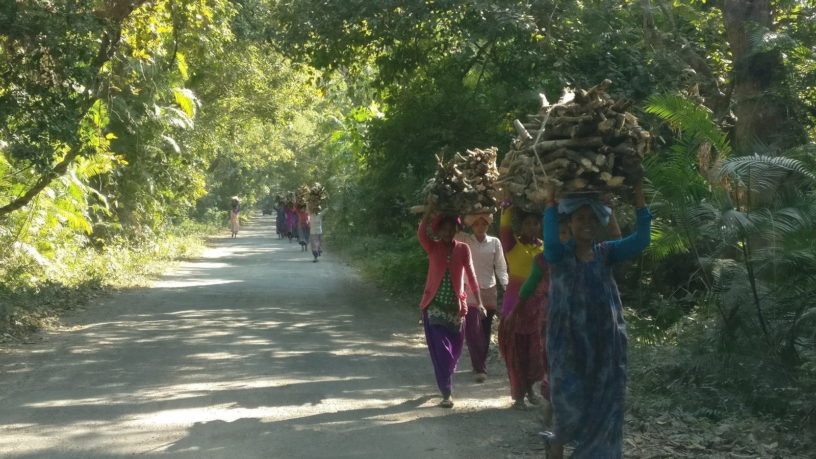 Petition · Please save 20 lakh tribals and traditional forest dwelling ...