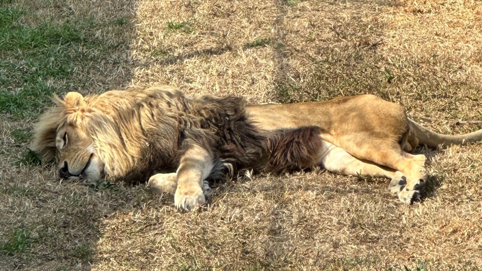 Petition · Grant the animals at the JHB ZOO the 5 freedoms they deserve ...