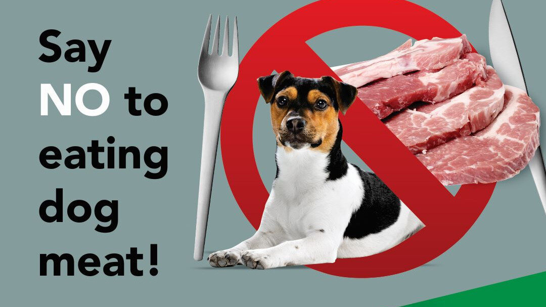 Petition update · Groundbreaking announcement: “Friend. Not Food.” Says ...