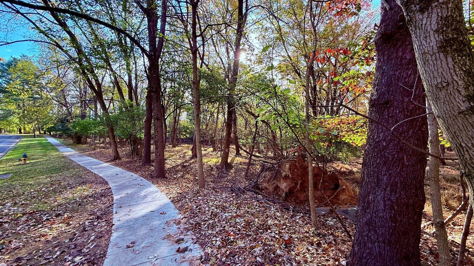 Petition · Deny Proposed RMD‑25 High Density Zoning for Parcel ZORID17 ...