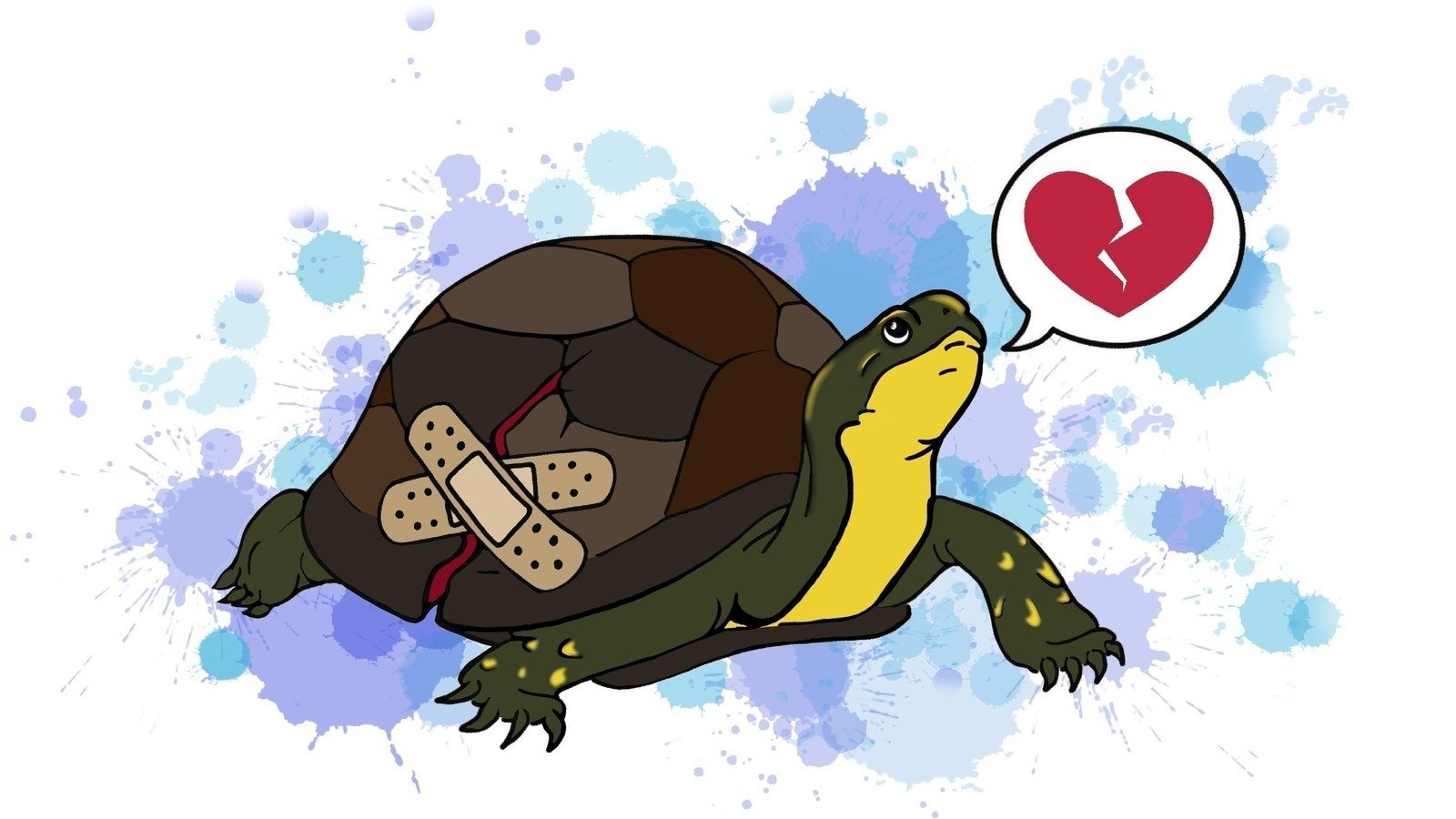 Petition · Turtle Tunnels for Cootes in Dundas - Trouble in Paradise ...