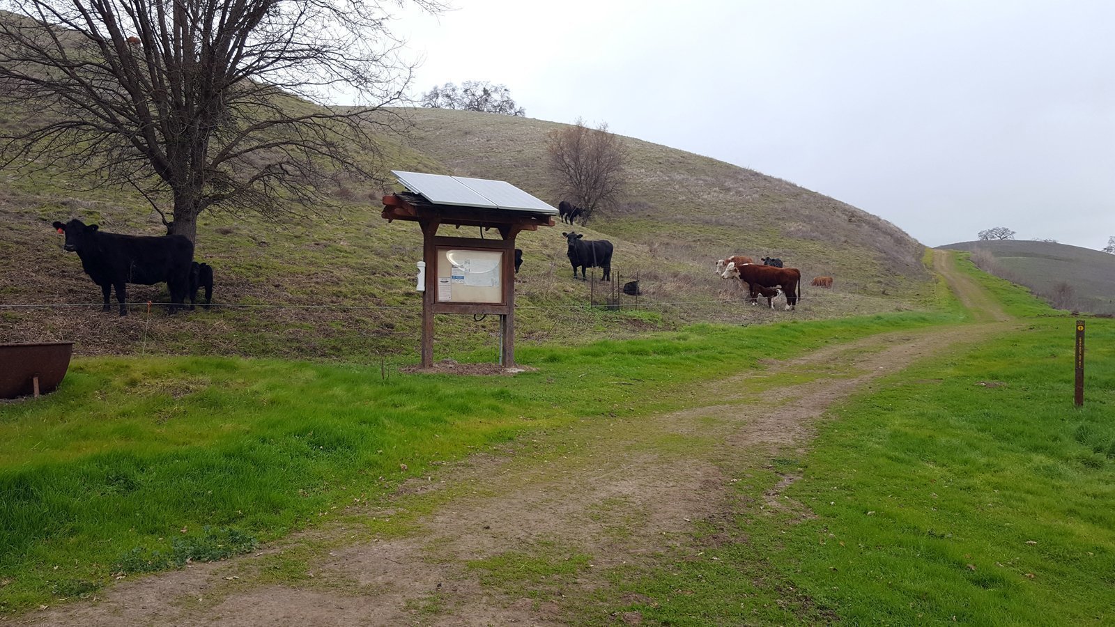 Petition update · Continued progress in our Shell Ridge Open Space ...