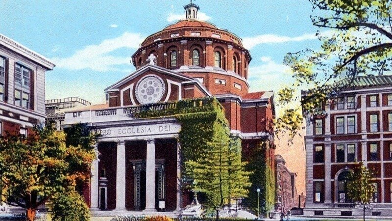 Petition · Bring Ivy back to Columbia - United States · Change.org