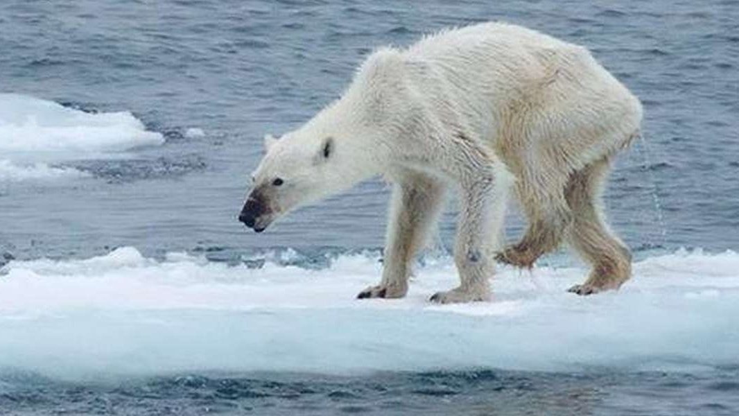 Petition · SAY NO TO PROJECT WILLOW! - Netherlands · Change.org