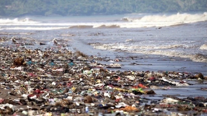 Petition · DEMAND CHANGE: Get Coca-Cola to Go Green - United States ...
