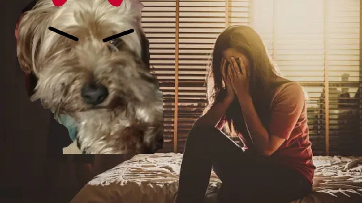 Petition · Ban hunbun from America - United States · Change.org