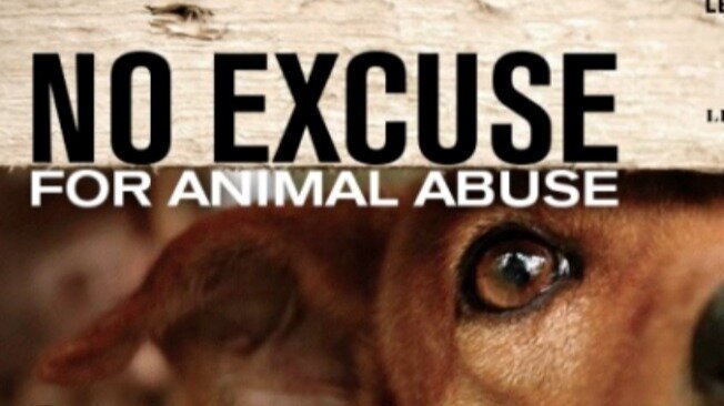 Petition · Animal Allies- Lets end animal cruelty - India · Change.org