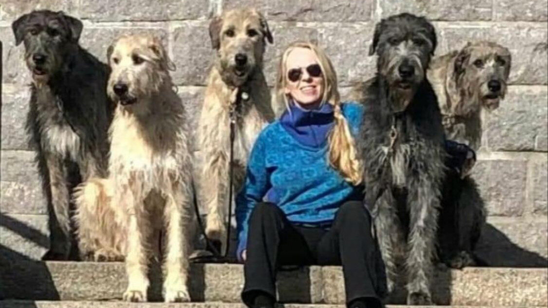 Petition · Please Help Save Irish Wolfhounds Atlanta, Liam and Sherri ...