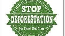 Petition · STOP! Deforestation. - Australia · Change.org