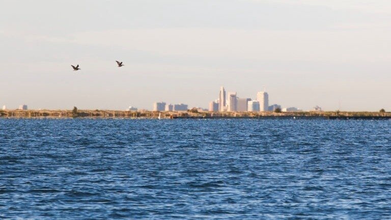 Petition · PROTECT THE CORPUS CHRISTI BAY: A demand for better science ...