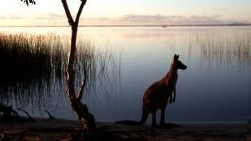 Petition · Protect Elanda Point as Declared Fish Habitat A - Australia ...