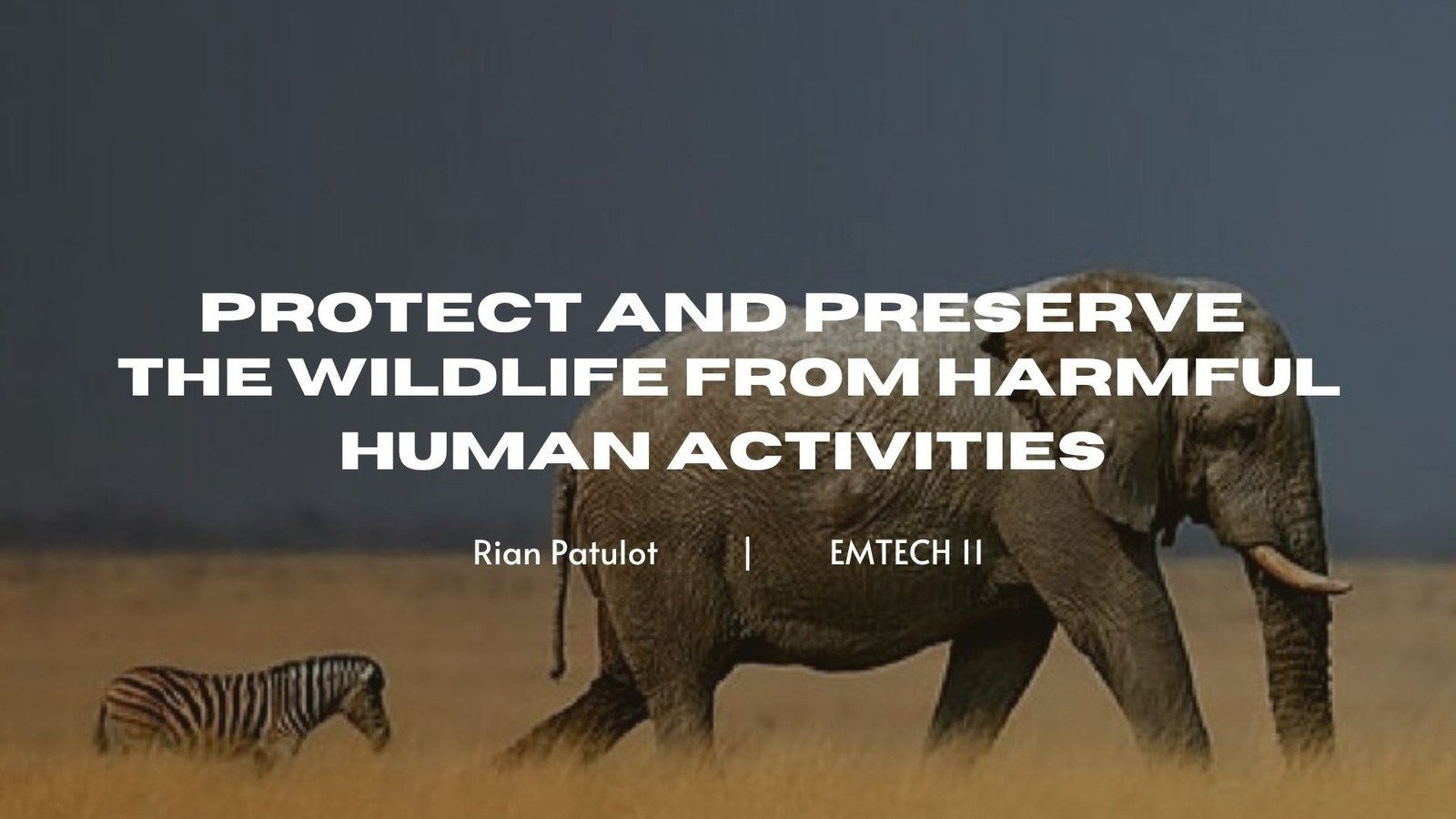 Petition · PROTECT AND PRESERVE THE WILDLIFE FROM HARMFUL HUMAN ...
