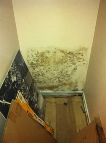 Petition · Stoneridge Apartments has Mold, Mold everywhere, but do the ...