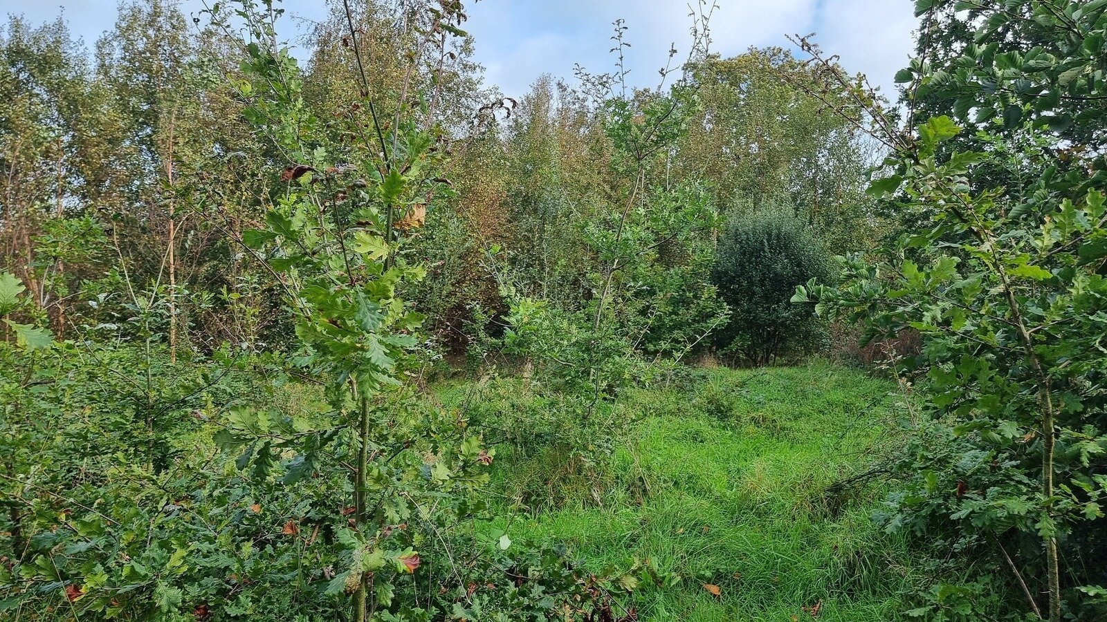 Petition · Establish a Nature Walk and Bird Hides at Harbour Farm ...