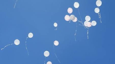 Petition · Ban the releasing of balloons - Australia · Change.org