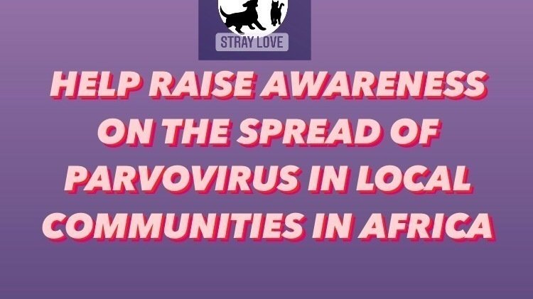 Petition · HELP RAISE AWARENESS ON THE SPREAD OF PARVOVIRUS IN LOCAL ...